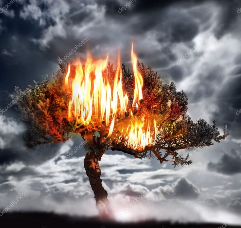 The accursed Tree in Holy Quran refers to ‘Bani Ummaiyya’ | Hubeali.com